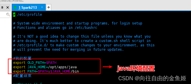 Linux虚拟机安装java环境 Csdn博客