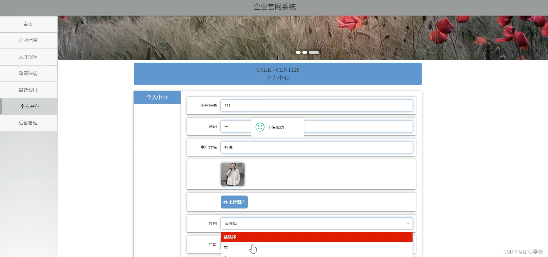 SSM毕设项目企业官网系统v42j1（java+VUE+Mybatis+Maven+Mysql）_ssm官网项目-CSDN博客