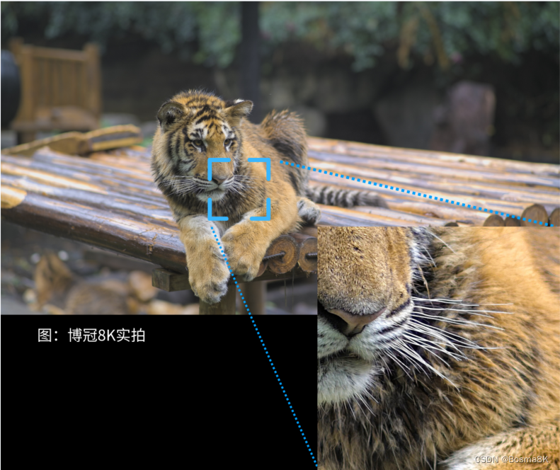 为什么说8K是大势所趋？一文读懂当前热门技术_咪咕近年来也在积极推动8k内容的制作和传播,您如何看待目前8k技术的发展-CSDN博客