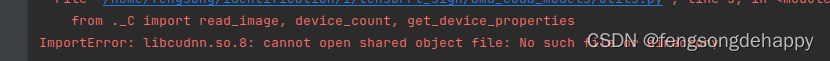 解决importerror Libcudnn So 8 Cannot Open Shared Object File No Such File Or Directory Csdn博客