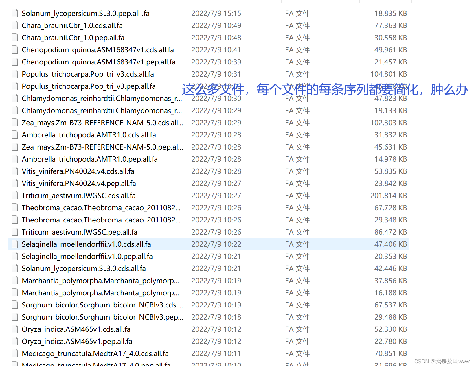 利用python解决生物问题 批量简化fasta文件中的idfasta中序列id的简化 Simpllfy Cj Perl Csdn博客