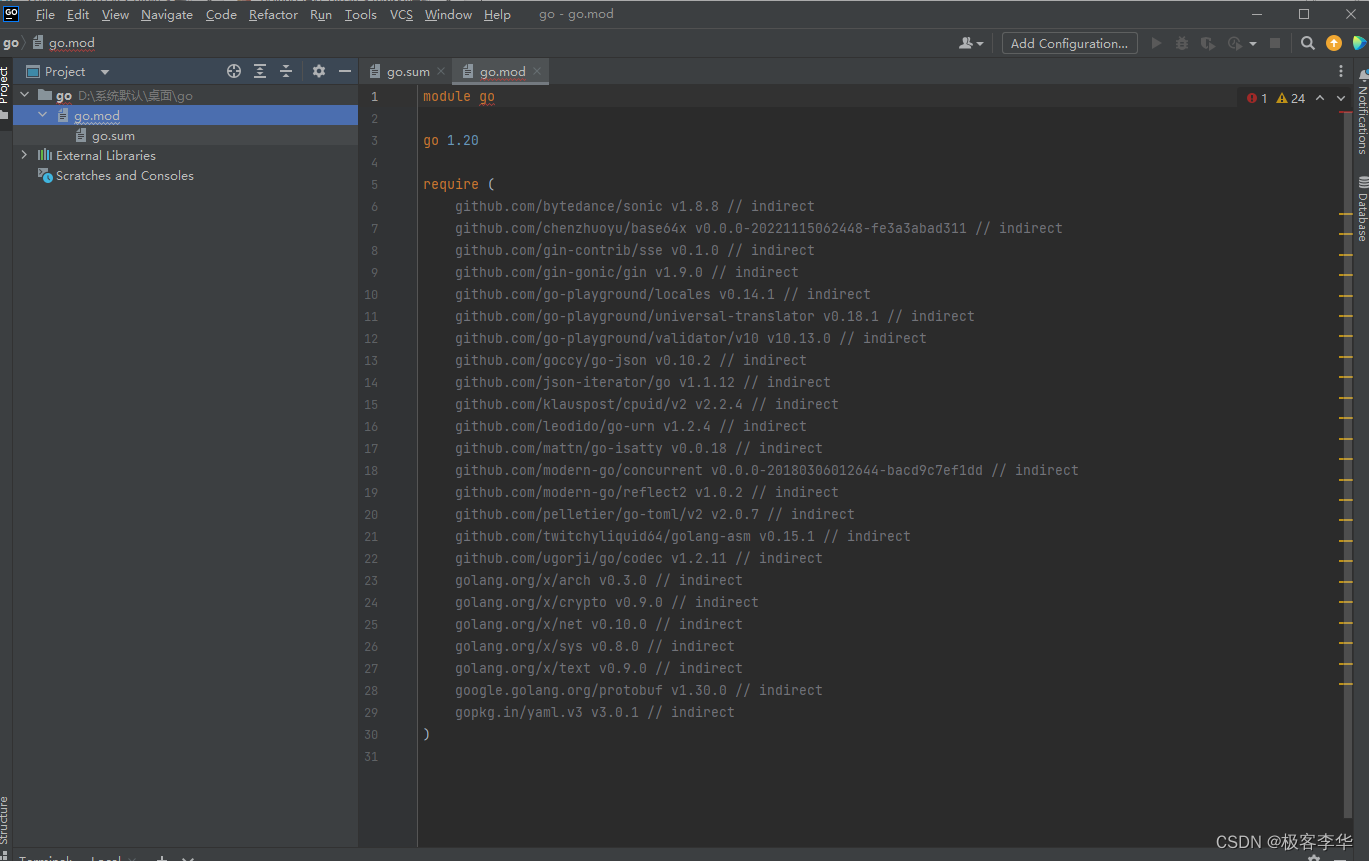 GoLand创建Gin项目_goland新建项目-CSDN博客