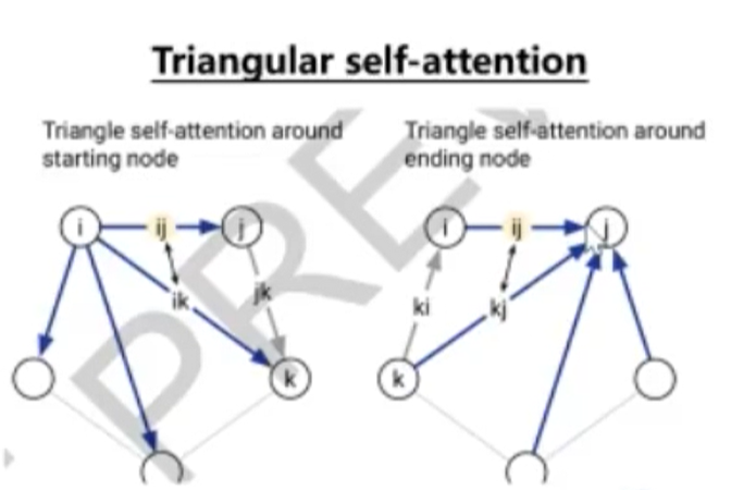 AlphaFold2算法详解-CSDN博客