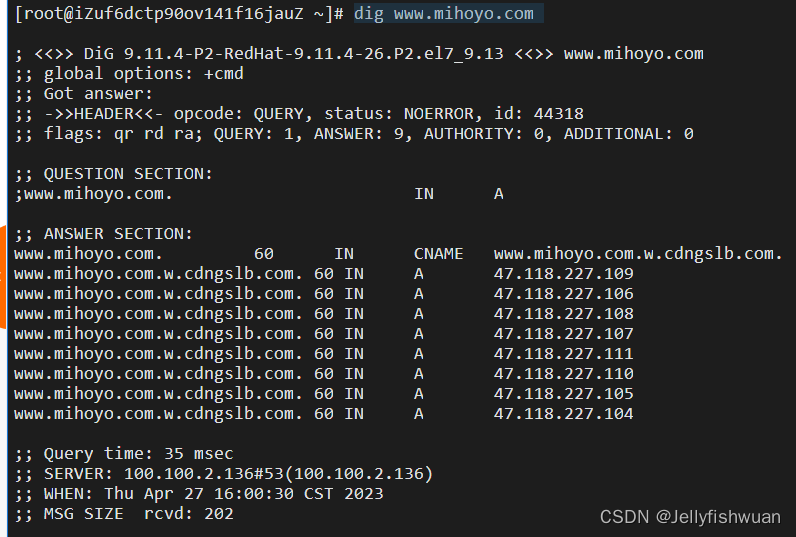 计算机网络 实验6 DNS协议分析与测量_csdn网络分析测试-CSDN博客