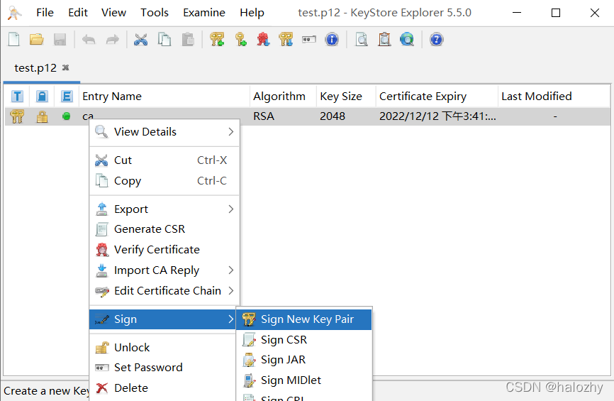 使用 Keystore Explorer 一个 Keytool 的 Gui 工具 签发带 San 的二级证书并导出为 P12 格式在 Springboot 中使用 Csdn博客 1309