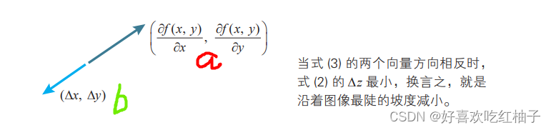 深度学习小白理论入门(一)之必备数学基础(自用笔记,方便快速查阅)深度学习的数学知识学习小白 Csdn博客