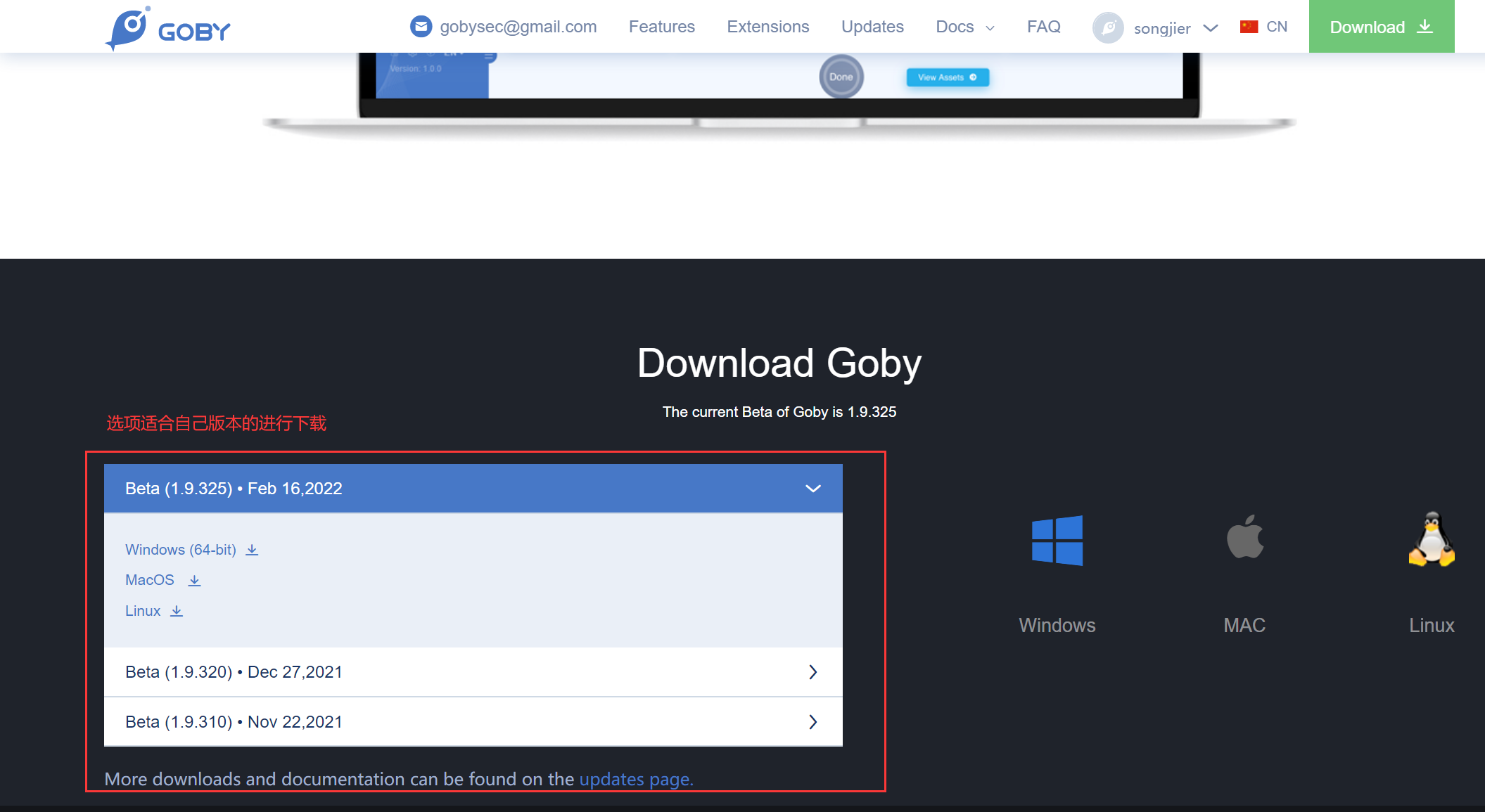 安装goby及解决无法扫描当前网卡_goby无法扫描当前网卡-CSDN博客