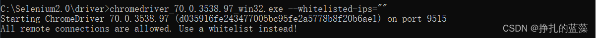 Selenium自动化chrome驱动版本匹配但是调用浏览器失败：Only local connections are allowed. 问题解决-CSDN博客
