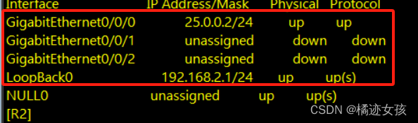 GRE/MGRE总结_gre配置-CSDN博客
