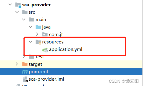 Nacos服务注册中心_nacos his_config_info_懂Java的懒阳阳的博客-CSDN博客