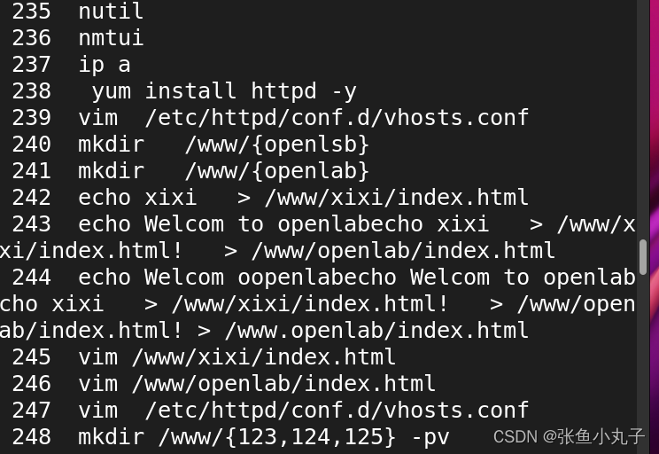 RHCE作业2_张鱼小丸子的博客-CSDN博客