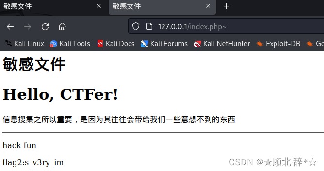 从0到1：CTFer成长之路——常见的搜集_从0到1的ctferurl如何获得-CSDN博客