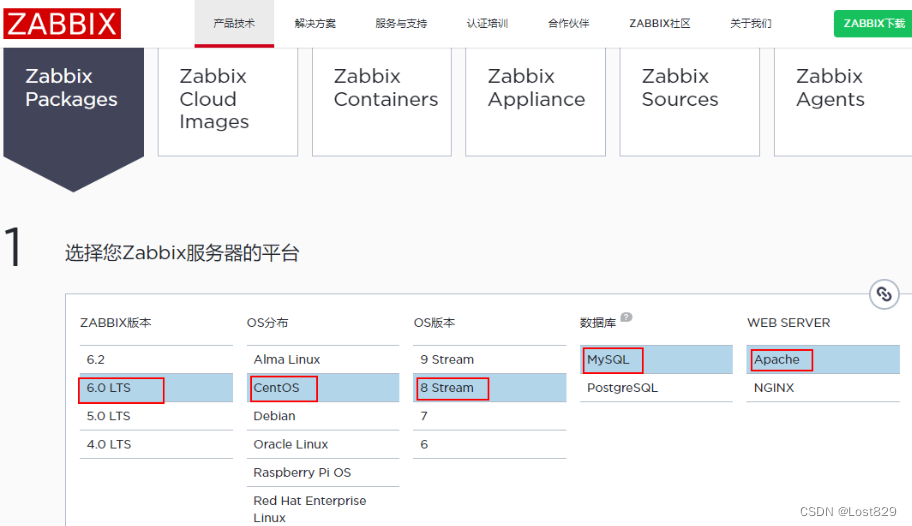 Zabbix6.0LTS安装流程_zabbix6安装-CSDN博客