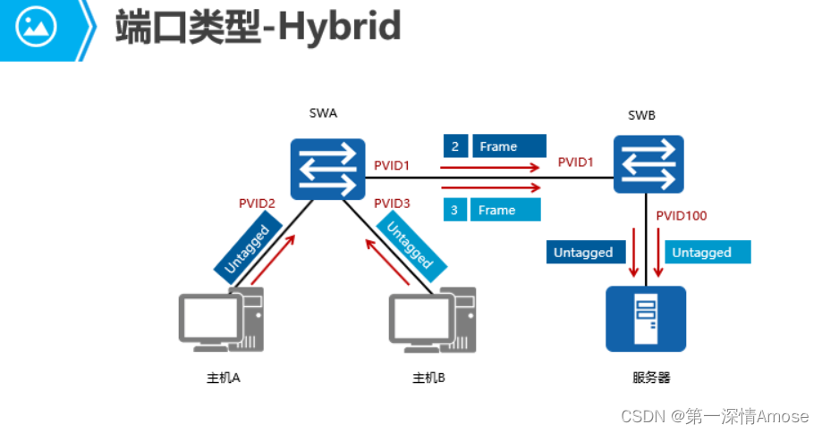 VLAN (Virtual Local Network )虚拟局域网_vlan pop-CSDN博客