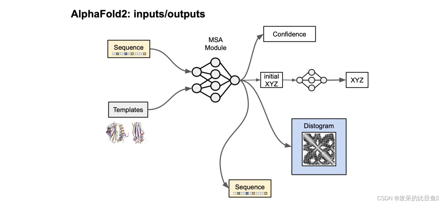 Alphafold2源代码导读_alphaflod2 msa-CSDN博客