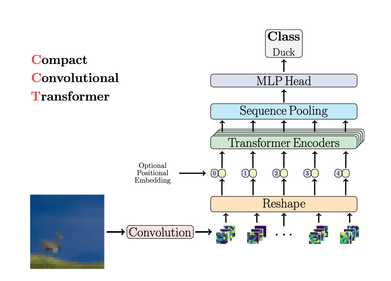 VT学习笔记_chunk(3, dim=-1)-CSDN博客