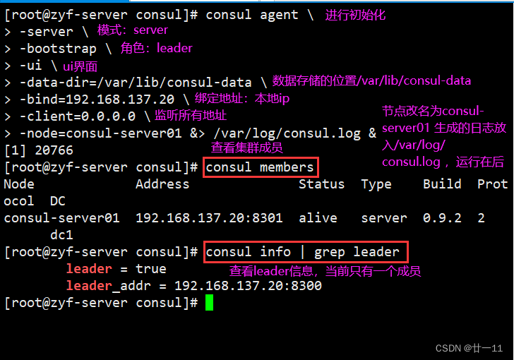 Docker：（十）consul注册中心、注册机_consul 注册机-CSDN博客