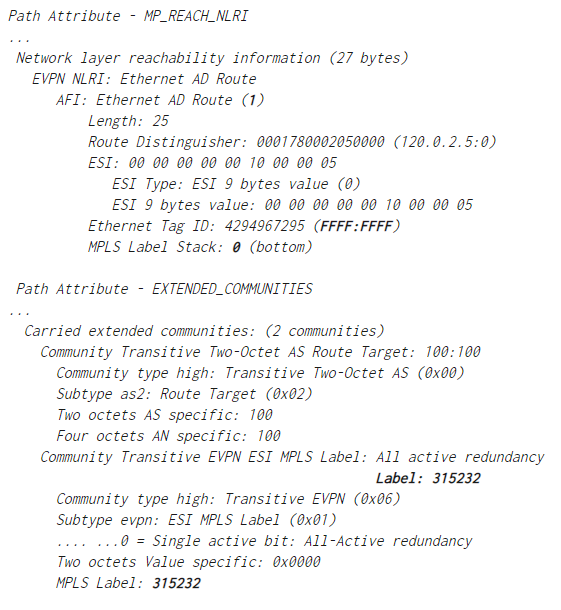 EVPN 路由之Type1 per ESI_ethernet segment identifier-CSDN博客