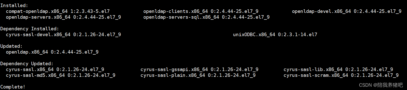 全网最全Centos7.9搭建LDAP服务器+图形界面_ldap服务器搭建-CSDN博客