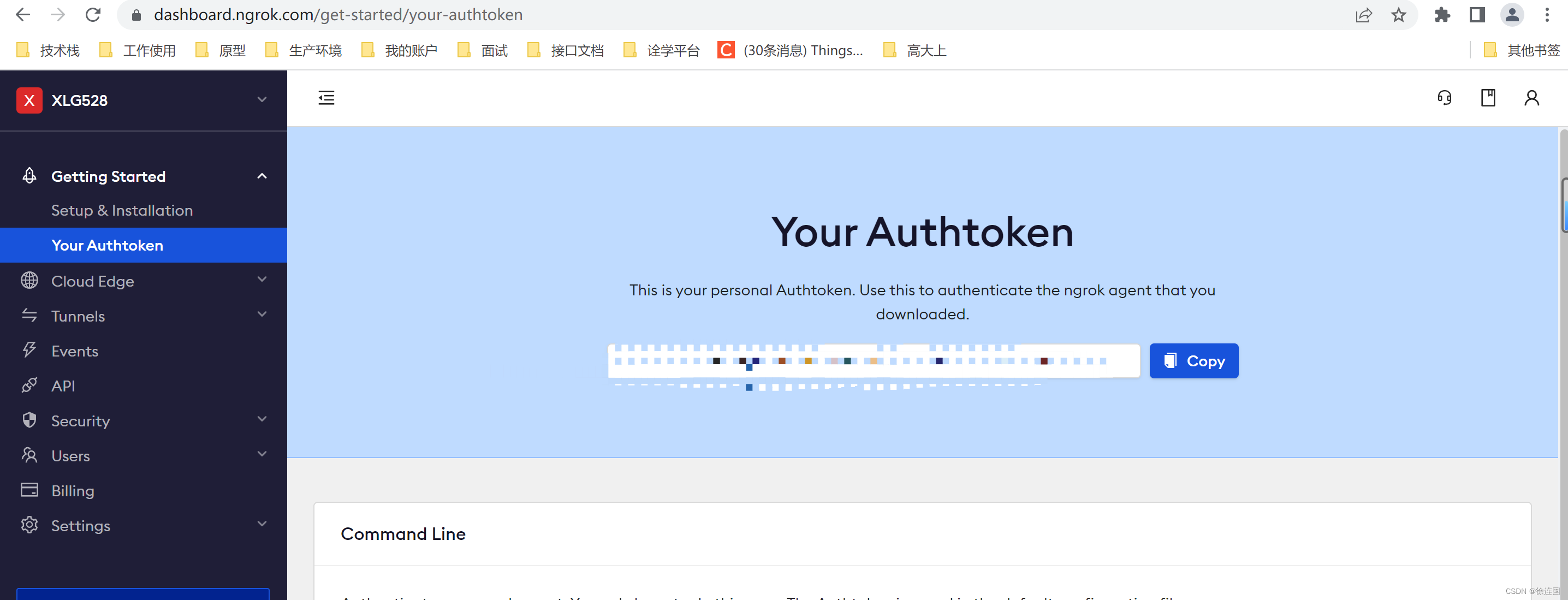 ngrok用法（个人记录）_ngrok token-CSDN博客