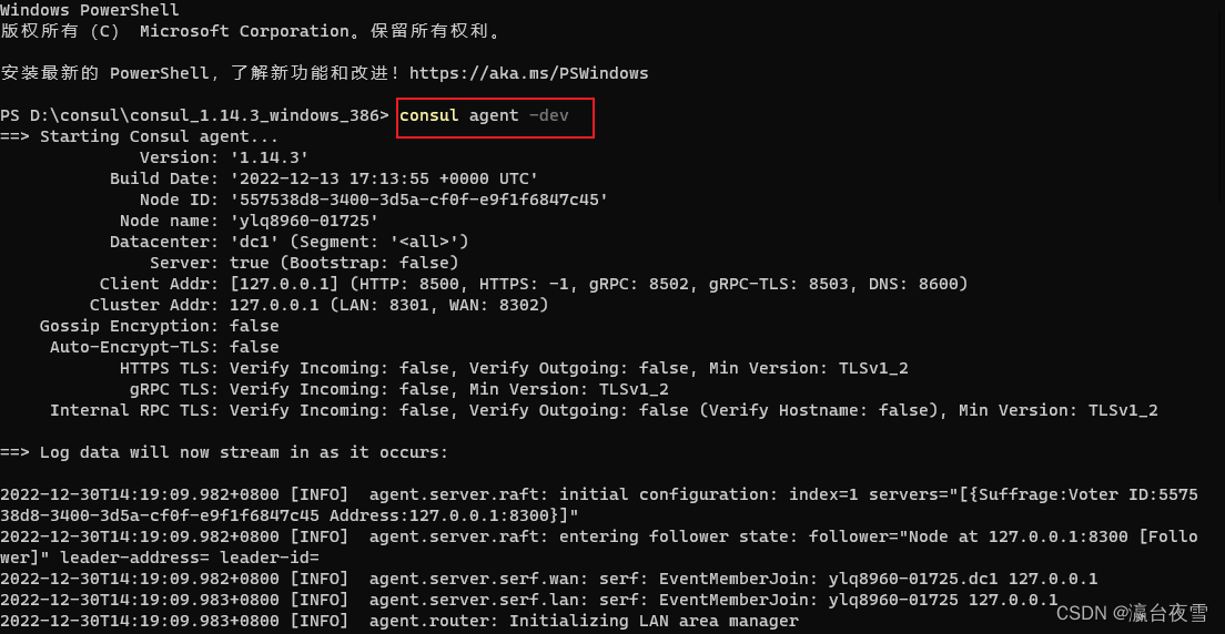 利用springboot结合consul实现服务注册 Springboot 注册consul Csdn博客