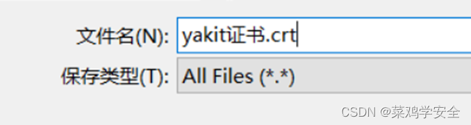 yakit简单使用_yakit 修改 dll-CSDN博客