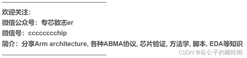 AMBA CHI知识分享专题-CSDN博客