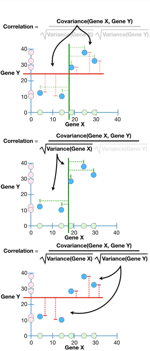相关系数（Correlation）-CSDN博客