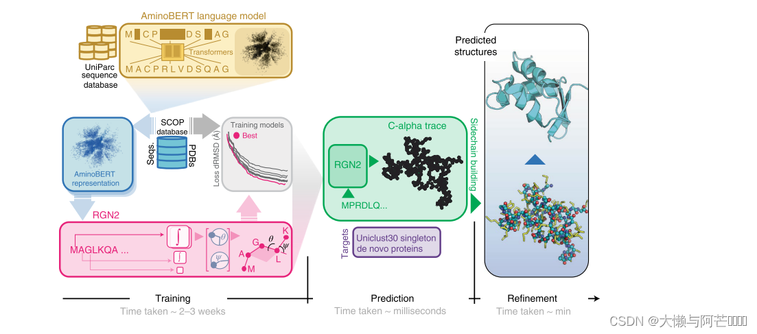RGN2：基于语言模型和深度学习的单序列蛋白质结构预测_rnn训练蛋白质-CSDN博客