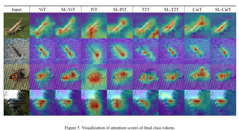 [Transformer]Vision Transformer for Small-Size Datasets-CSDN博客