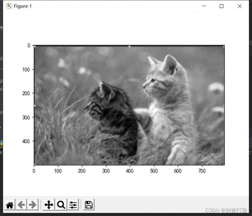 NNDL 作业5：卷积_cmap='gray-CSDN博客
