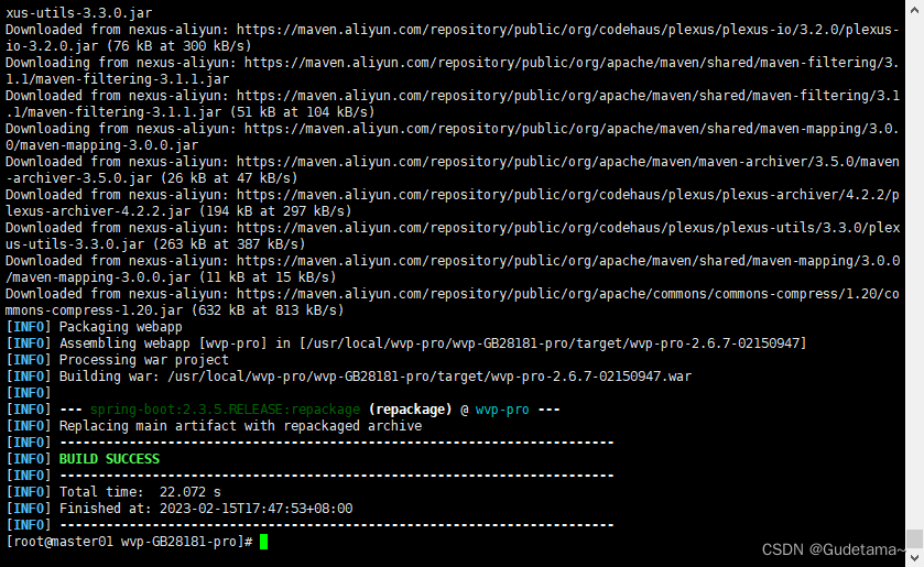 centos下搭建wvp-pro+ZLMediaKit流媒体平台-CSDN博客