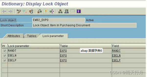 Sap Abap 数据字典教程 Se11：表、锁定对象、视图和结构 03sap Bsak 表结构 Csdn博客