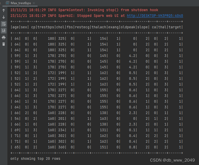 心脏病数据集Spark-Scala分析-CSDN博客