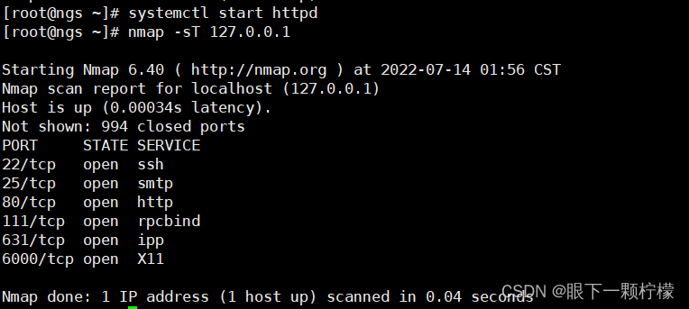 Linux系统中的nmap命令与netstat命令_naup-CSDN博客