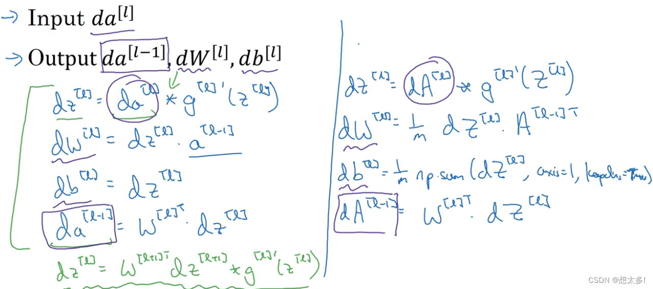 深度学习——day33 class1 week4 深层神经网络_神经网络circuit theory-CSDN博客