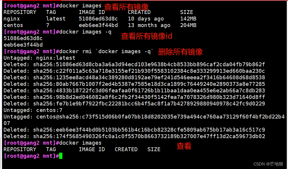 Docker之镜像、容器基础操作_docker 进入镜像-CSDN博客