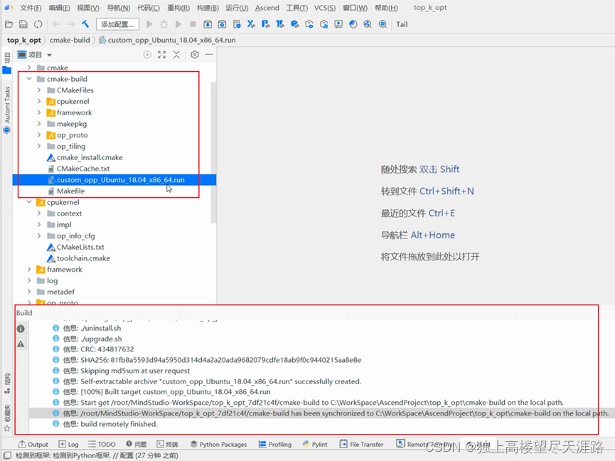 MindStudio算子开发案例（TensorFlow框架AI CPU算子开发全流程）_ai算子开发学习视频-CSDN博客