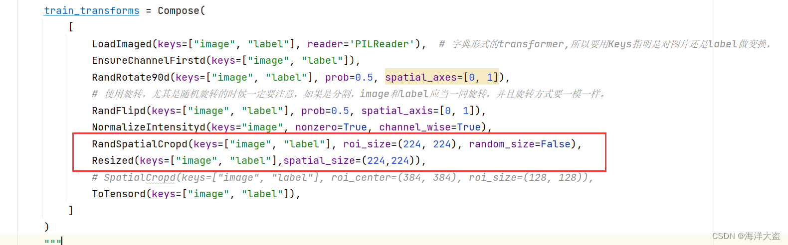 关于Resize()和RandSpatialCropd()-CSDN博客