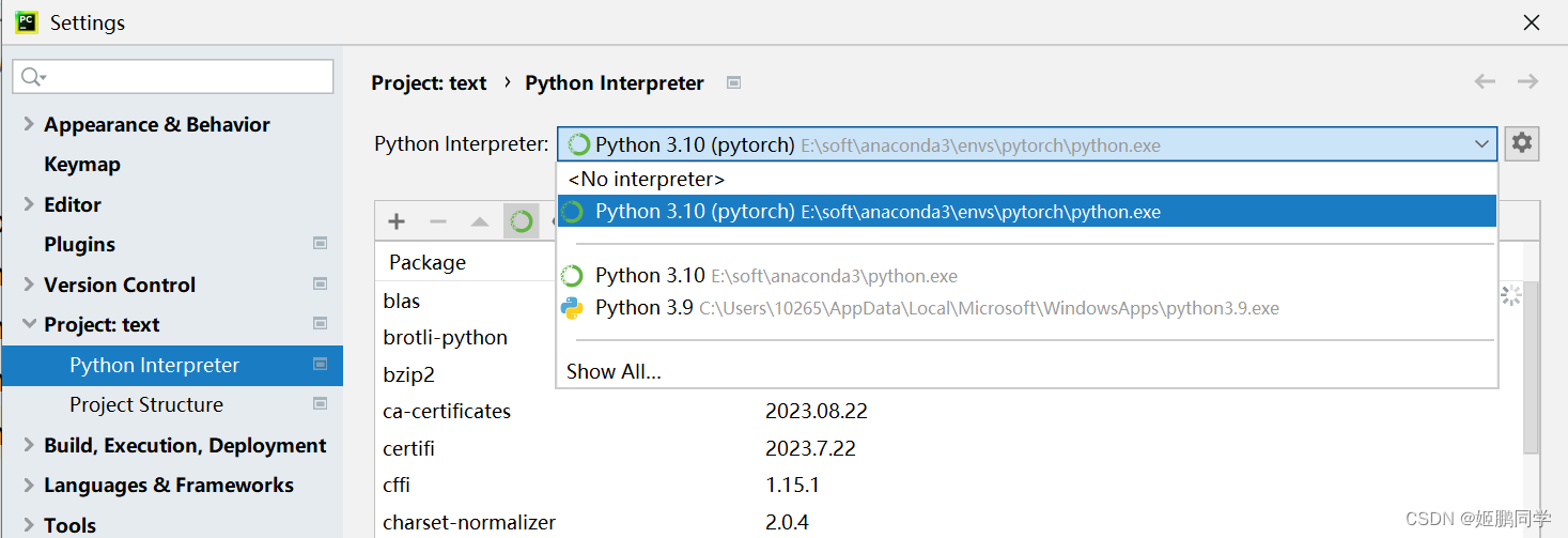 import torch报错解决-CSDN博客