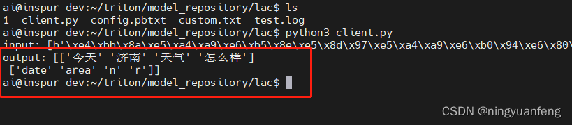 triton部署 python backend 输入字符串_triton python-CSDN博客