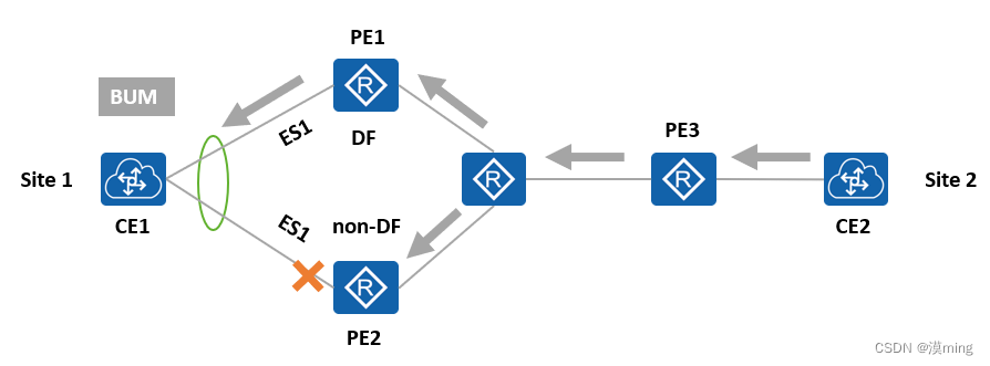 【EPVN】EVPN路由详解-CSDN博客