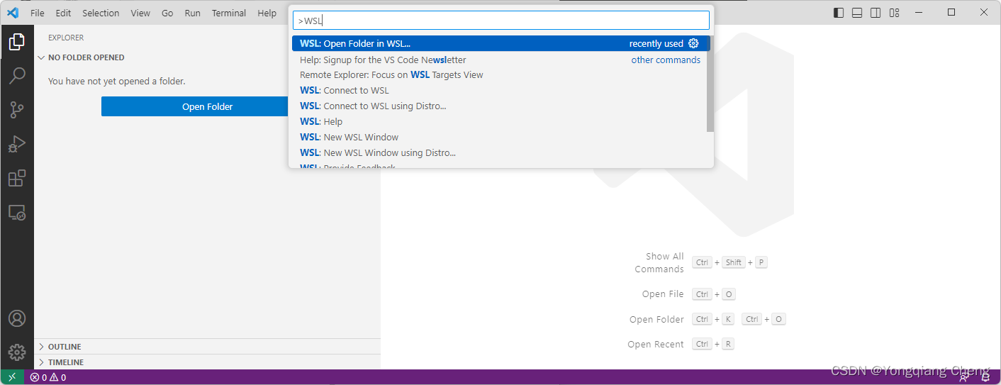 使用 Visual Studio Code (VS Code) 访问 Windows Subsystem for Linux (WSL)_vscode操作wsl-CSDN博客