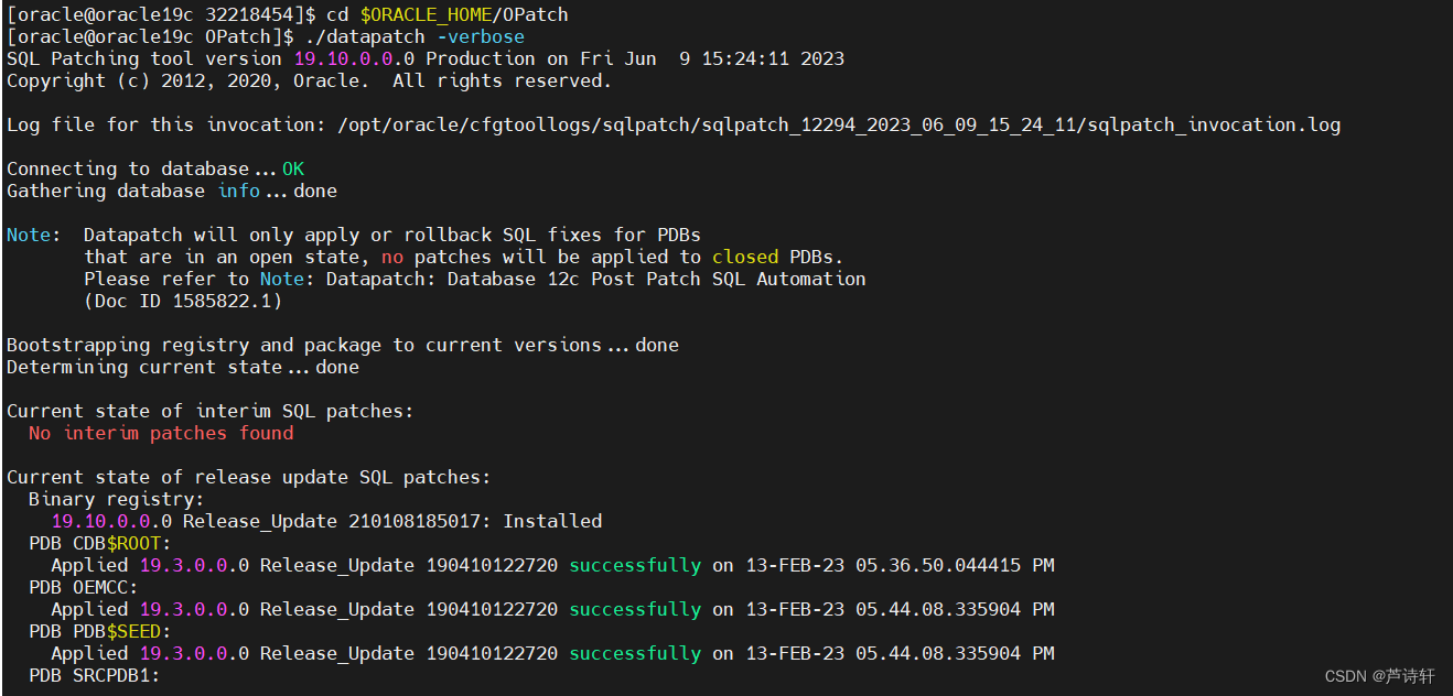 【oracle运维】oracle 19c 打补丁（p32218454）升级版本_oracle19c最新补丁-CSDN博客