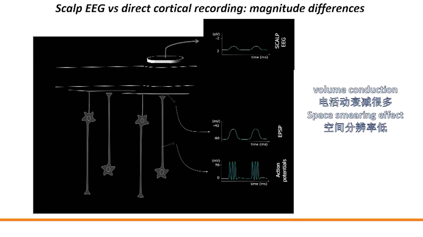 脑电的神经起源与测量-EEG Processing and Feature 2_脑电测试 csdn-CSDN博客