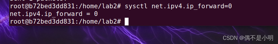 【SEED Lab】ARP Cache Poisoning Attack Lab-CSDN博客