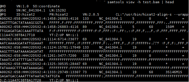 比对软件|Samtools_samtools view -c-CSDN博客