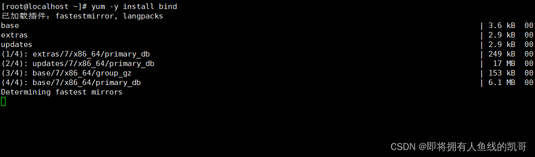 Linux网络之DNS域名解析概述_linux 域名解析-CSDN博客