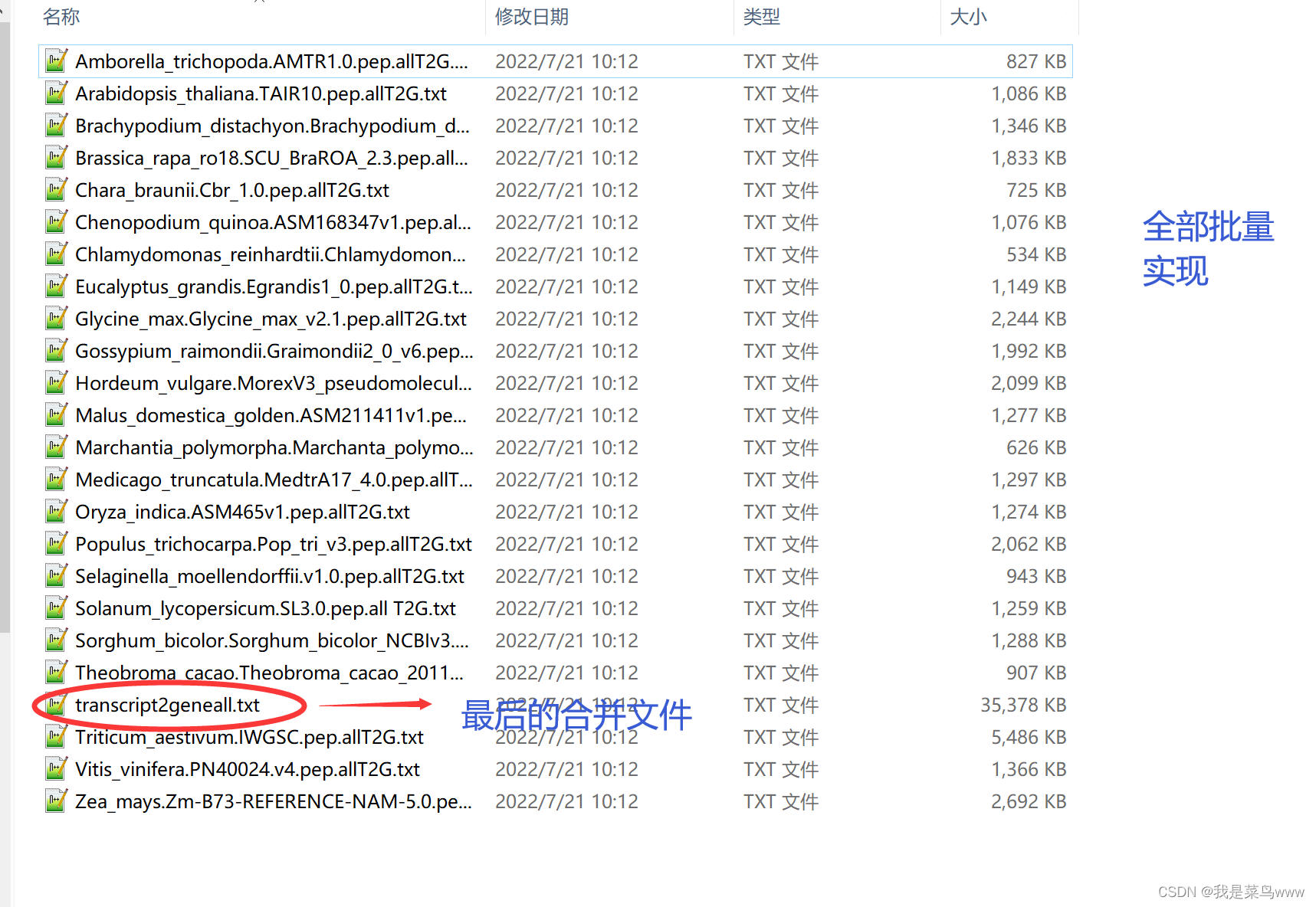 利用python解决生物问题：批量对应转录本 基因名python蛋白基因批量转换 Csdn博客