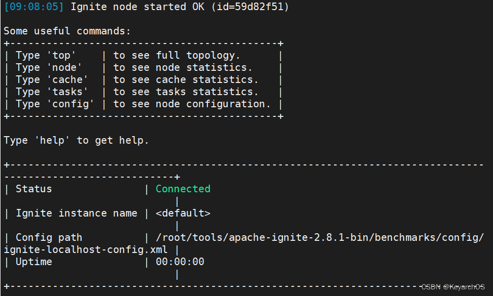 在KeyarchOS上安装和配置Apache Ignite：一种高性能的内存计算平台_apache ignite sql命令-CSDN博客